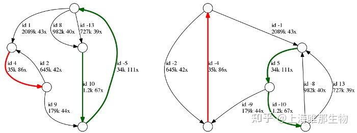 Flye安装和使用教程——基因组三代组装软件 - 知乎
