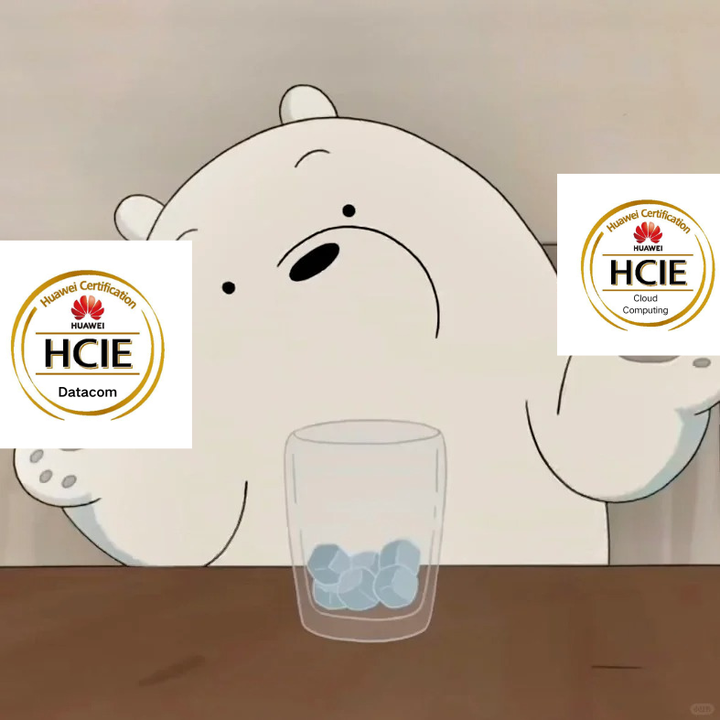 HCIE 数通 VS 云计算：哪个更适合你？一文带你全面解析！ - 知乎