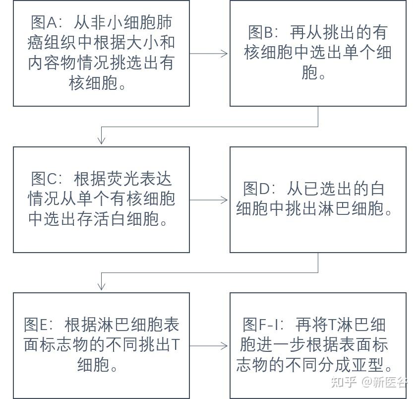 流式细胞图怎么看? - 知乎