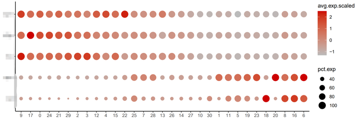单细胞转录组数据分析——Dotplot修改顺序（cluster） - 知乎