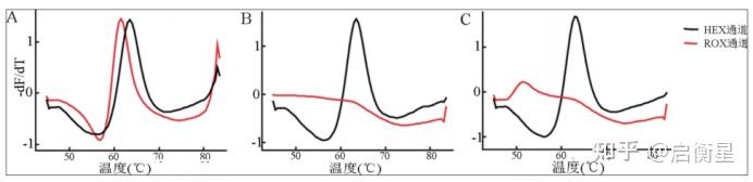 知识分享|多色探针溶解曲线法在 HLA 分型检测领域的应用 - 知乎