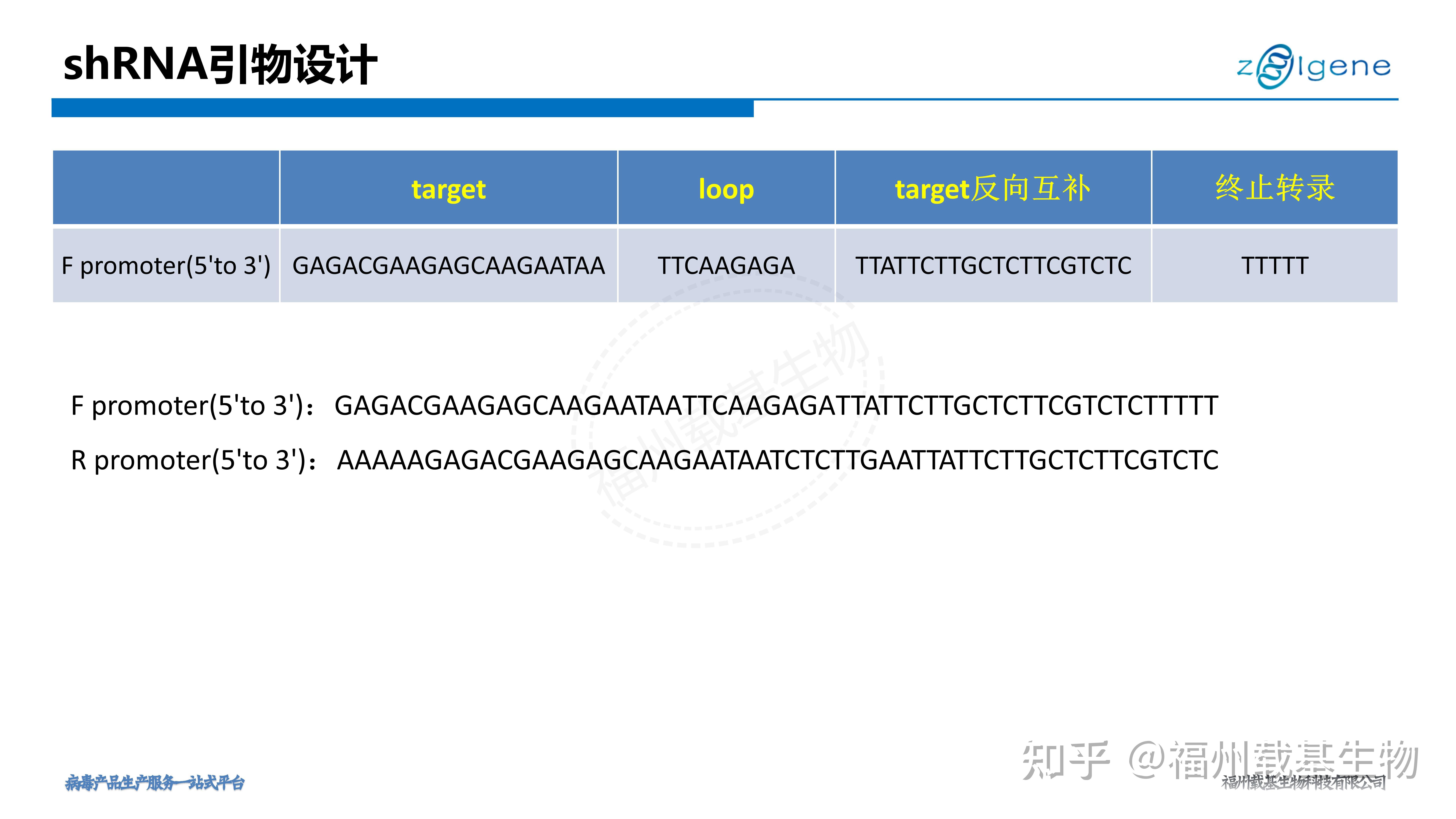 shRNA设计原则是什么？ - 知乎