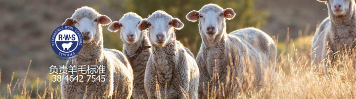 RWS（Responsible Wool Standard中文名叫负责任羊毛标准）认证公司 - 知乎