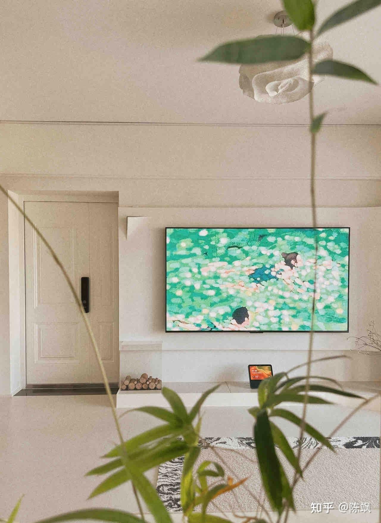 海信85e5k和雷鸟鹤7max怎么选？