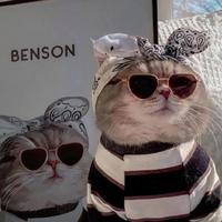 深入踩坑 pytorch 的 load_state_dict() - 知乎