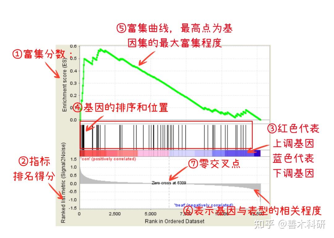 如何解读 gsea 分析结果？ - 知乎