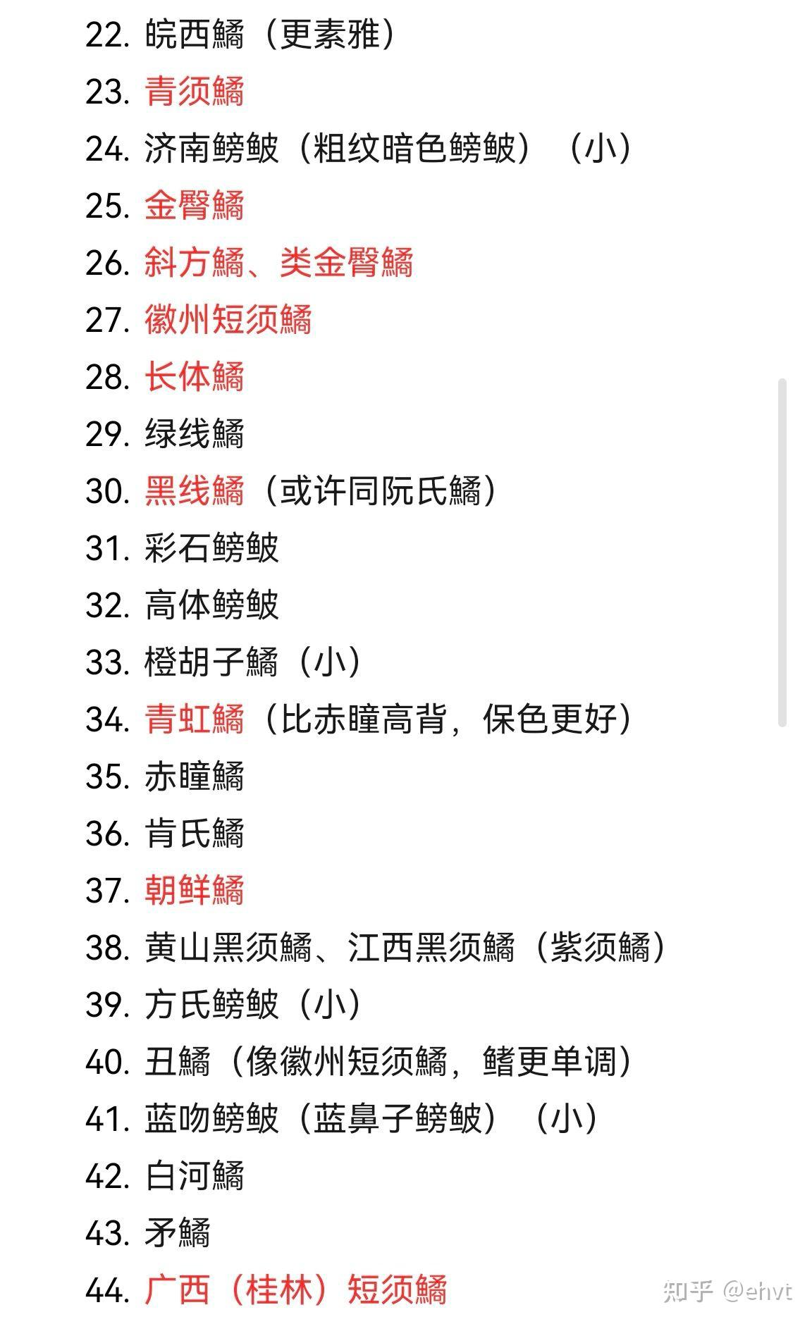 新手养鱼，养什么鱼好？ - 知乎