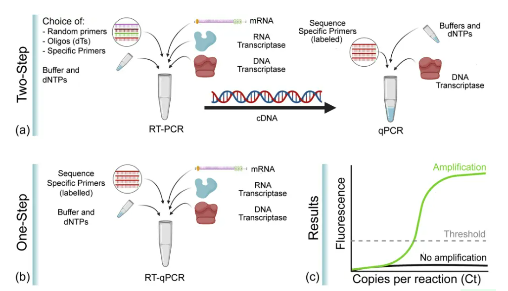 PCR、qPCR、RT-PCR、RT-qPCR、Real-Time PCR如何区分？ - 知乎