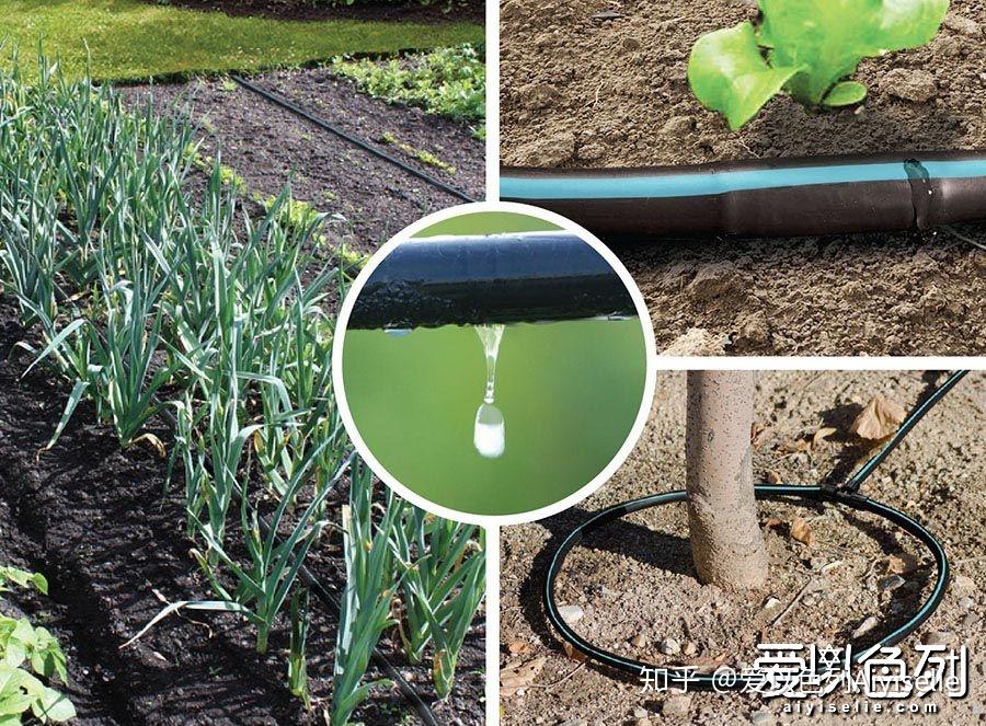 请问 以色列滴灌技术有多大价值？ - 知乎