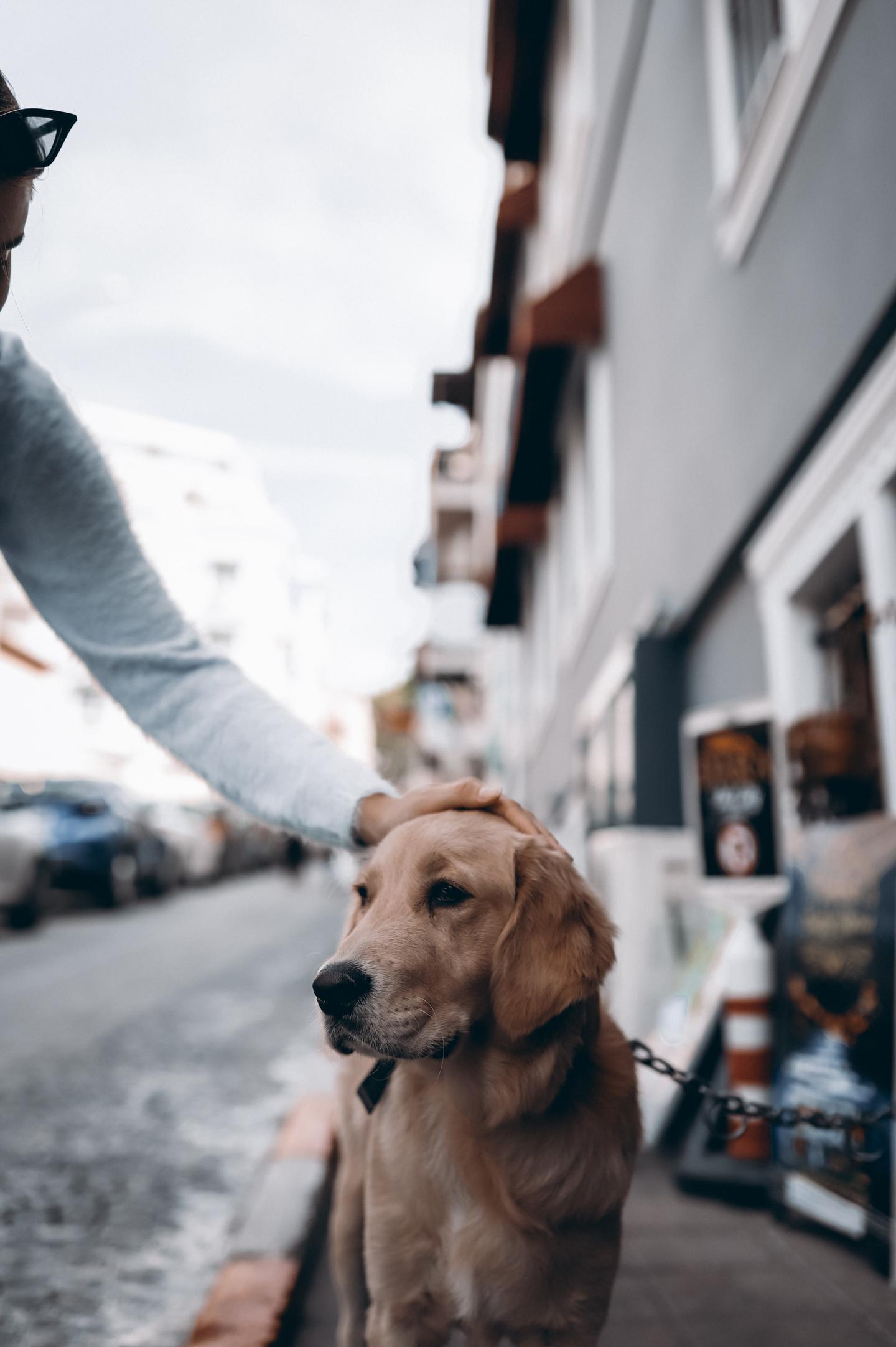 Python的DocStrings - 知乎