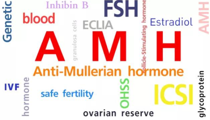 做试管婴儿前，为何一定要检查AMH？ - 知乎