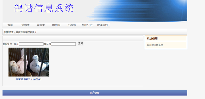 Java项目开发jsp编程软件鸽谱信息系统myeclipse开发mysql数据库计算机网页 知乎 0981