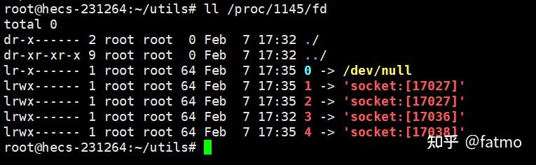 linux80和443端口被占用，netstat、ss、fuser、lsof都查不到进程号，怎么办? - 知乎