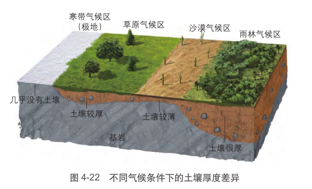 土壤教学经典用图30张！ 知乎