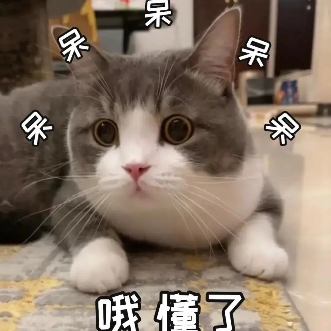 122张可爱的猫猫表情包 - 知乎