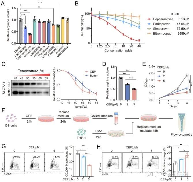 IF:6.0/Q1，单细胞分析+机器学习+单基因分析，揭示SLC7A1在骨肉瘤中的作用！ - 知乎