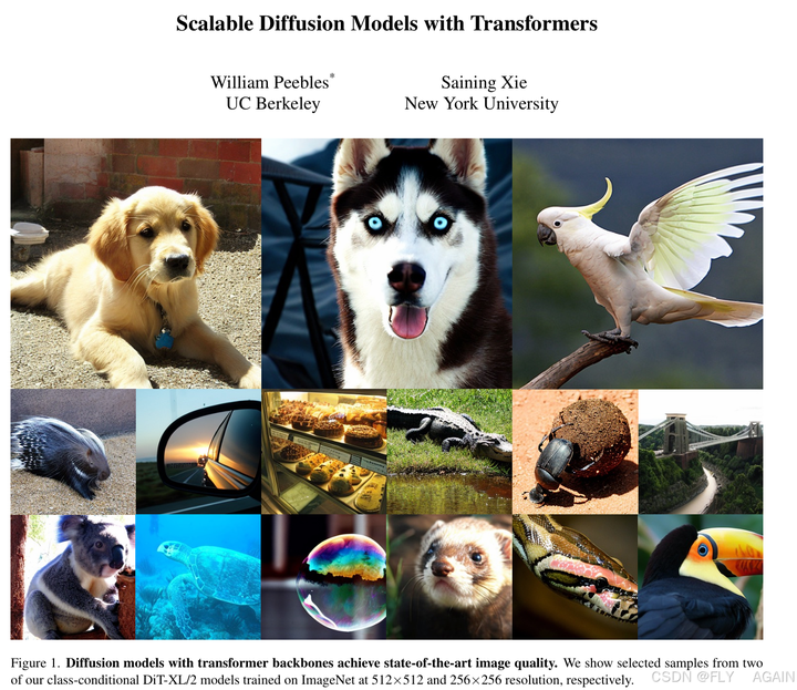 Diffusion Transformer（DiT）—— 图像视频生成领域的新王，Sora的背后功臣 - 知乎