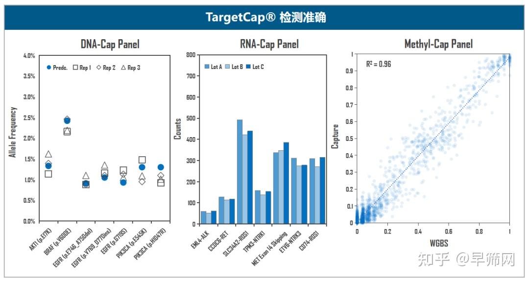 伯科高品质DNA合成技术实现多平台靶向测序应用的领先水平 - 知乎