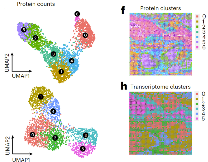 空间转录组技术分享：Spatial CITE-seq - 知乎