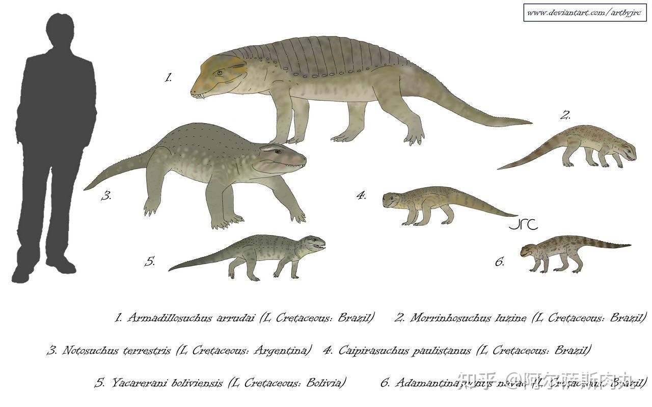 番 外| Ruler of the Southern Continent“陆地鳄霸”——西贝鳄类兴衰 - 知乎