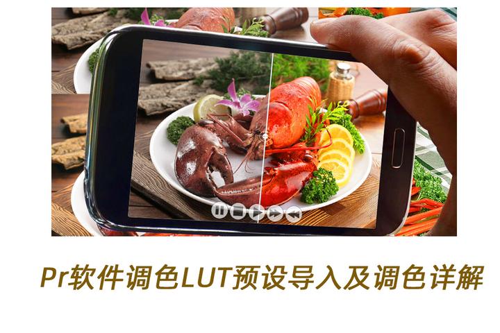 Pr软件调色LUT预设导入及调色详解 - 知乎