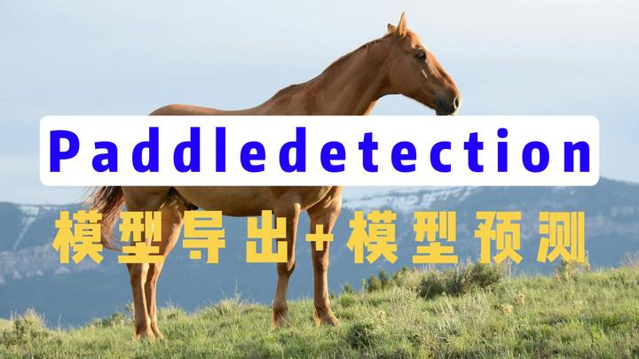 使用Paddledetection进行模型训练【Part3：模型导出+模型预测】 - 知乎