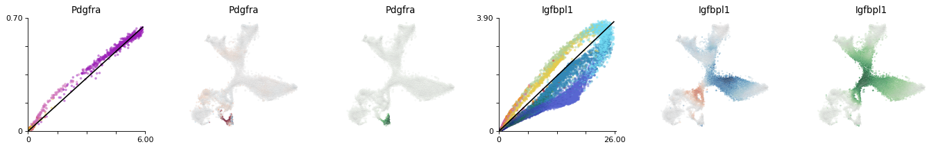 单细胞数据分析——RNA velocity （专题三代码实现） - 知乎