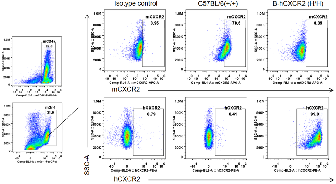 进攻多面手，肿瘤、自免疾病治疗“新”锐-CXCR家族 - 知乎