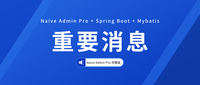 Naive Admin Pro 前端+后端（完整版本） - 知乎