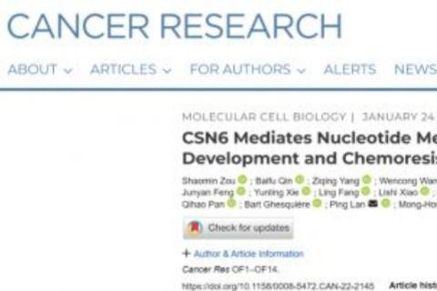 揭示CSN6介导核苷酸代谢促进结直肠癌的发生发展和化疗耐药 - 知乎