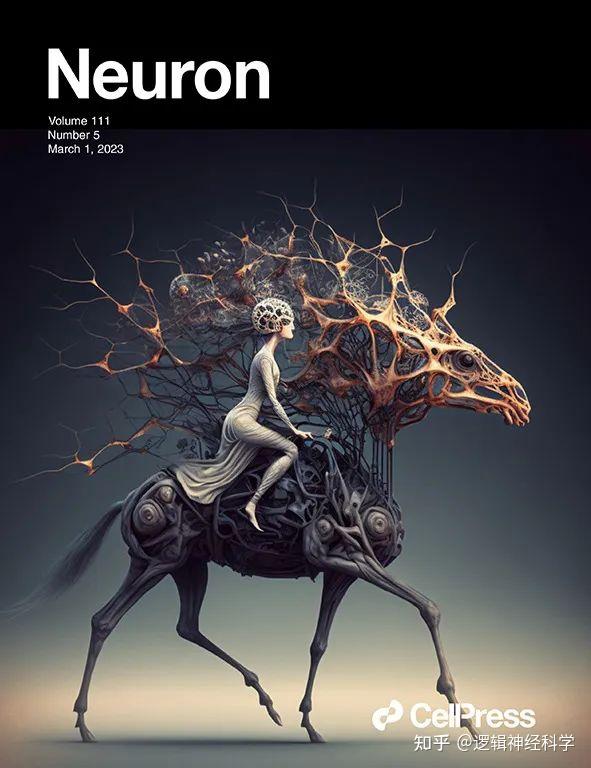 Neuron︱收藏！2023年期刊封面文章汇总 - 知乎