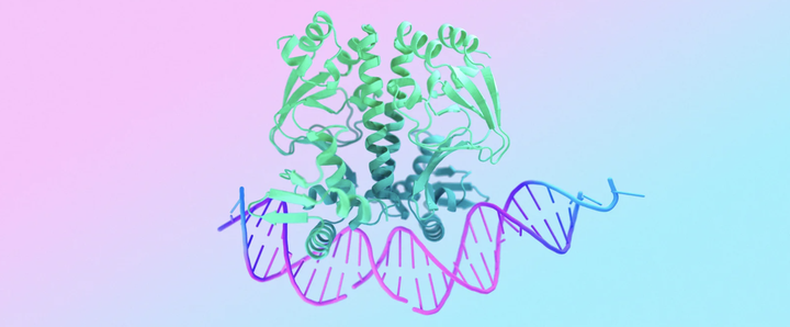刚刚，AlphaFold 3 登上 Nature：所有生命分子的结构和相互作用，都被 AI 预测了 - 知乎