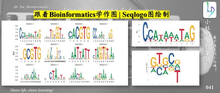跟着Bioinformatics学作图 | Seqlogo图绘制 - 知乎