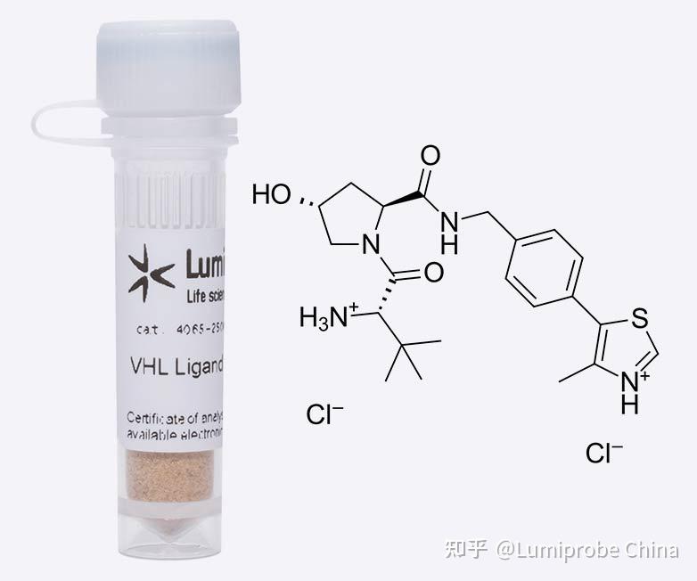 Our PROTAC molecules for your targeted protein degradation - 知乎