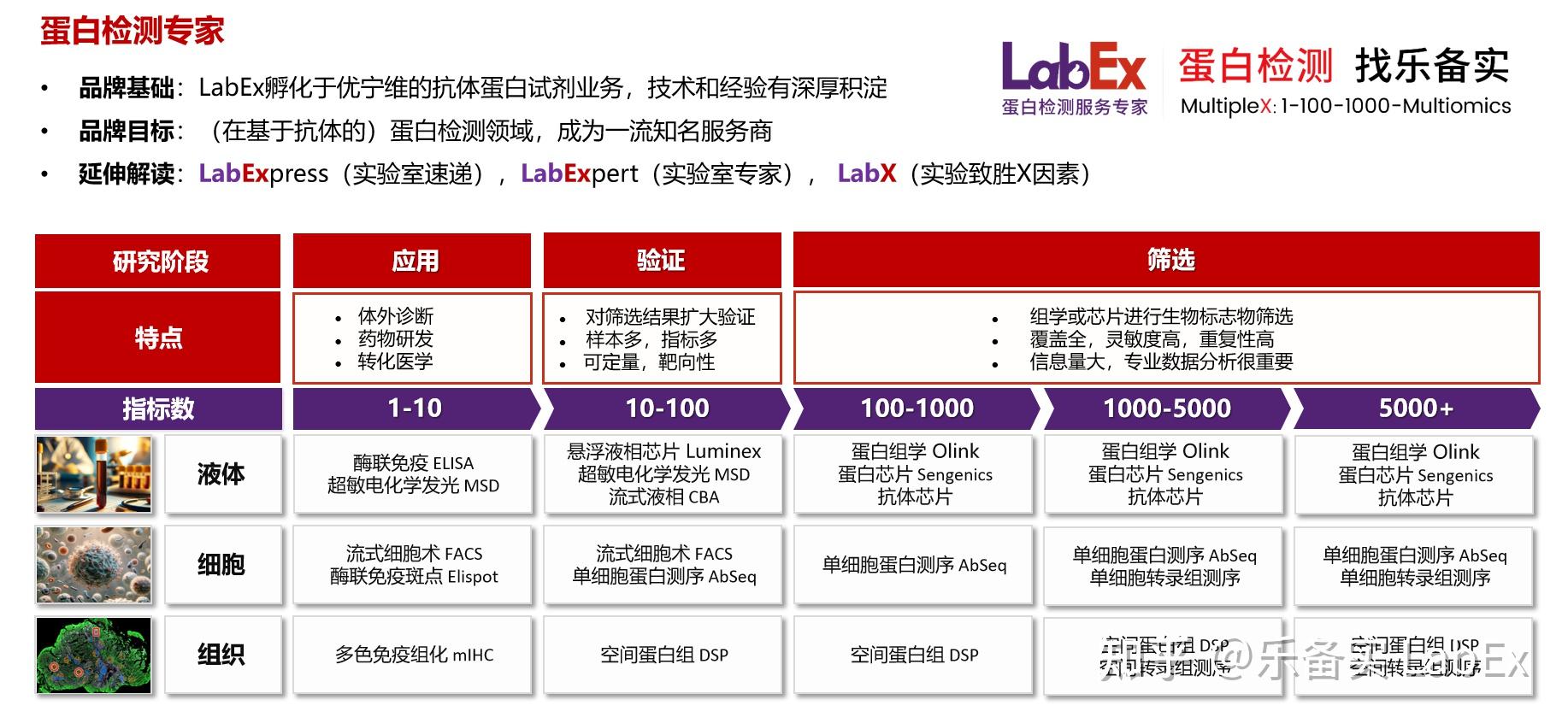 ImageJ实用技巧——荧光共定位分析(定量分析篇)？ - 知乎