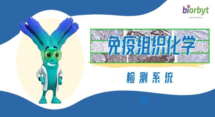 【Biorbyt实验】免疫组织化学-检测系统 - 知乎