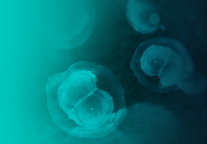 Springer Nature Experiments 2021年产品发展回顾 - 知乎