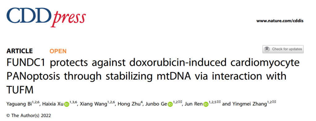 Cell Death Dis｜复旦大学附属中山医院团队阐述心肌细胞泛凋亡参与阿霉素心肌损伤的机制 - 知乎