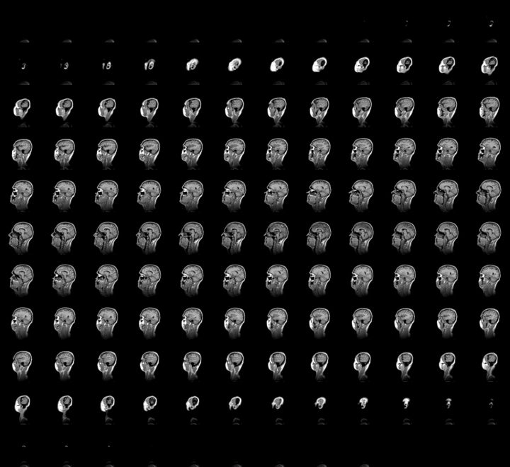 ImageJ实用教程——3D Stack Reslice(基本功能篇) - 知乎