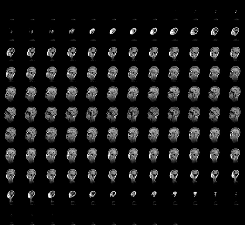 ImageJ实用教程 - 知乎