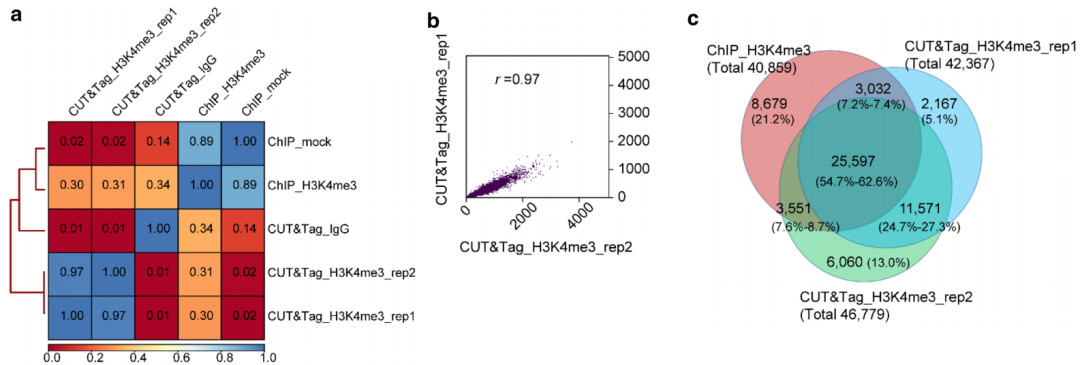 解析表观遗传学的工具——CUT&Tag - 知乎