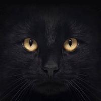 Slate(二):SListView - 知乎