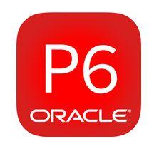 Oracle P6软件起源与发展 - 知乎