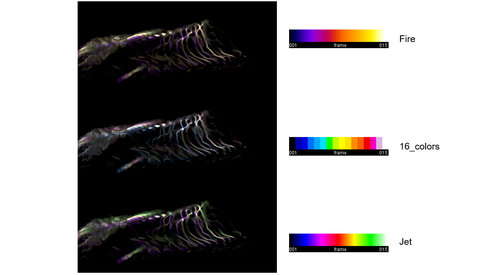 ImageJ实用教程 - 知乎