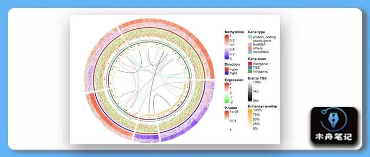 R实战 | 环状热图(circos) - 知乎