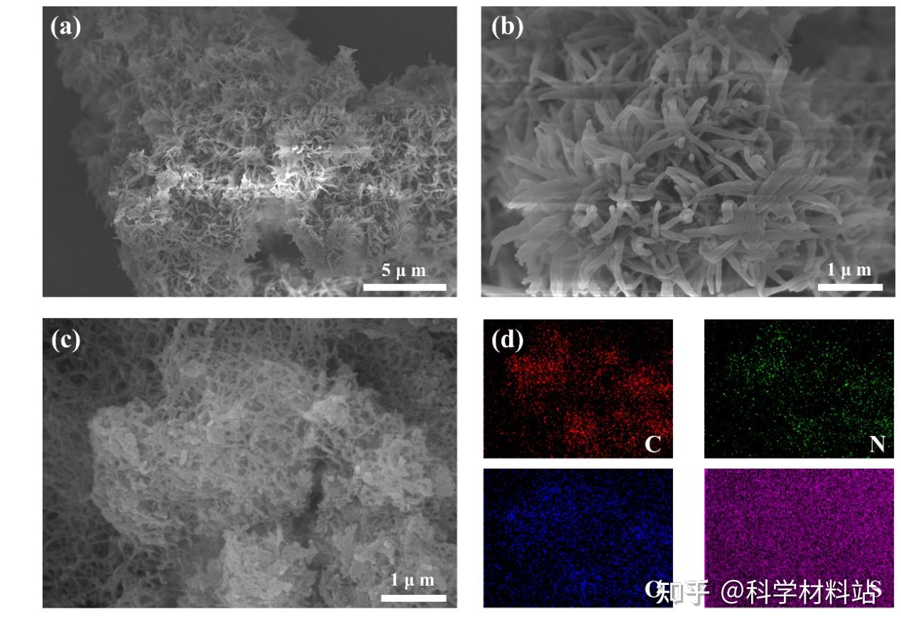 郑州大学吴蔓蔓研究员、周震教授CEJ：花状共价有机框架作为高性能锂硫电池的载体材料 - 知乎