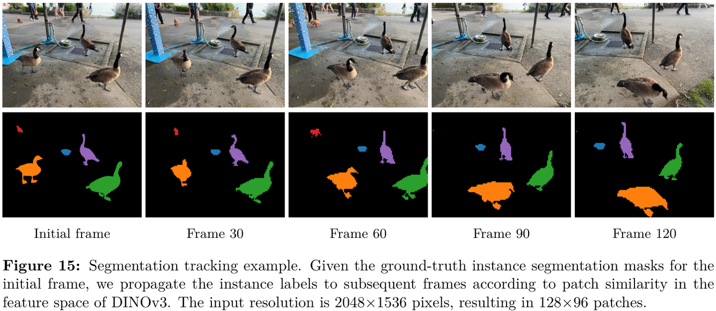 DINOv3震撼发布：Meta AI的视觉巨兽，重新定义自监督学习 - 知乎