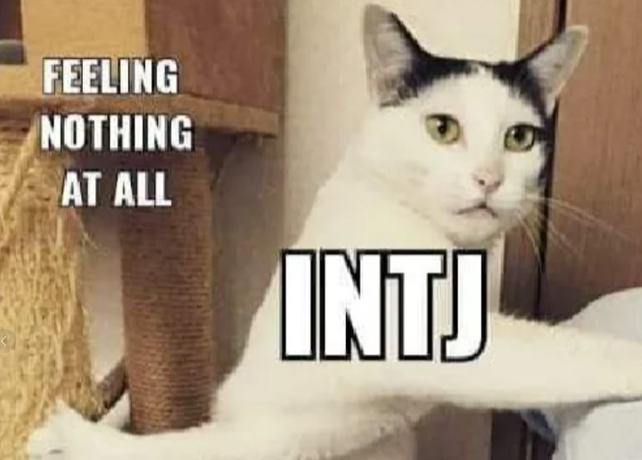 INTJ的思想从来都不难理解 - 知乎