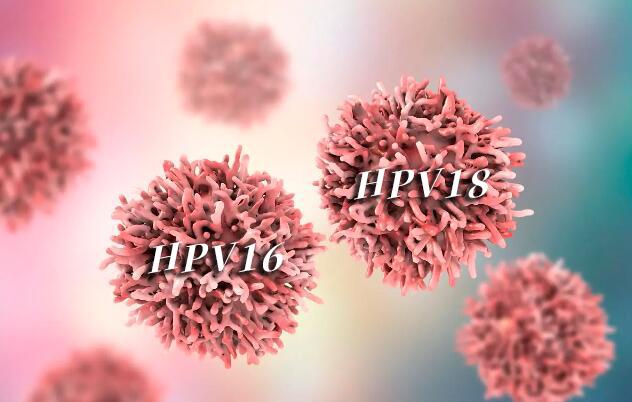 宫颈病变中的战斗机---HPV16亚型！ - 知乎