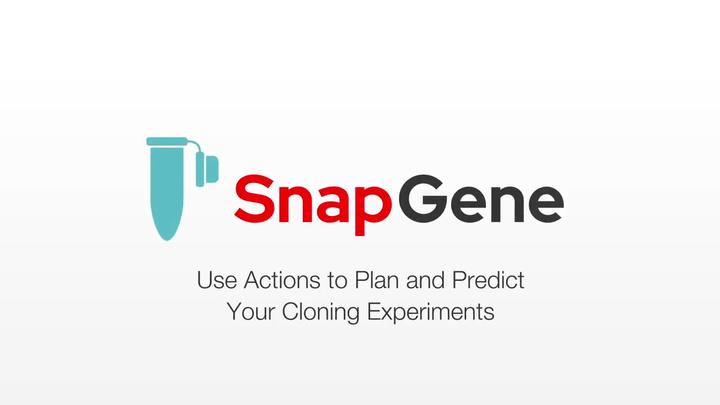 SnapGene 初学者指南 | 使用【Actions】来计划和预测你的克隆实验 - 知乎